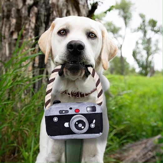 Plush Camera-Shaped Dog Toy With Cotton Rope - Plushie — Legacy Photo Lab